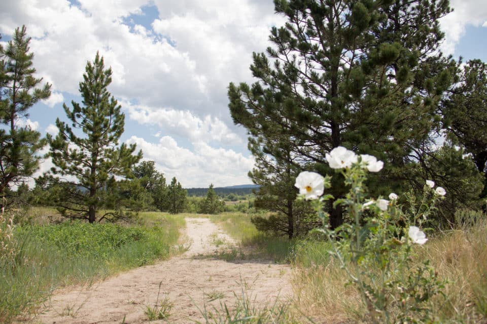 Open Space Properties and Trails - Douglas County