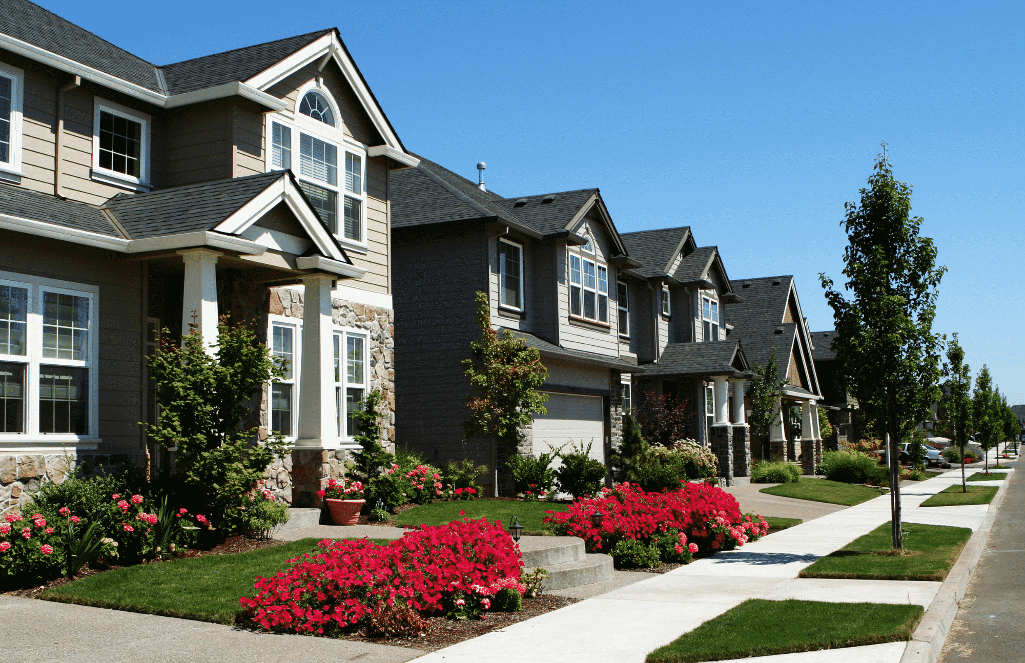 Planning Services - Douglas County