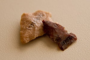 Virtual Museum - Douglas County