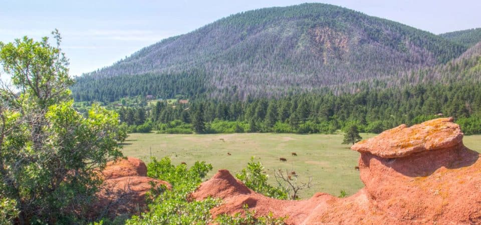 Douglas County Colorado