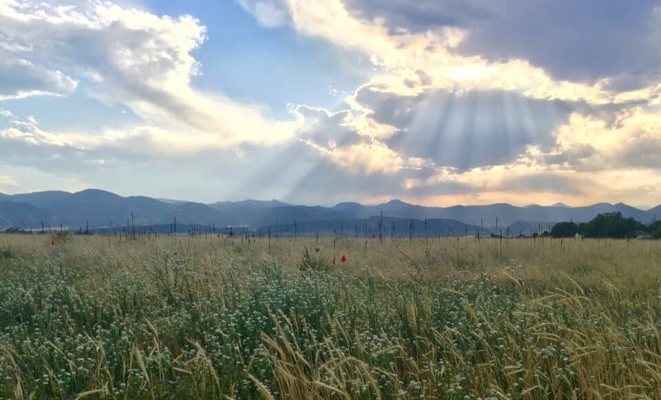 Experience Douglas County - Douglas County