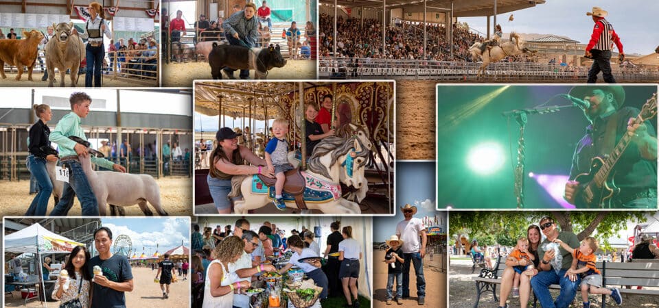 Fair and Rodeo Archives - Douglas County