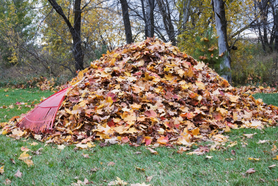Green Yard Waste Program - Douglas County