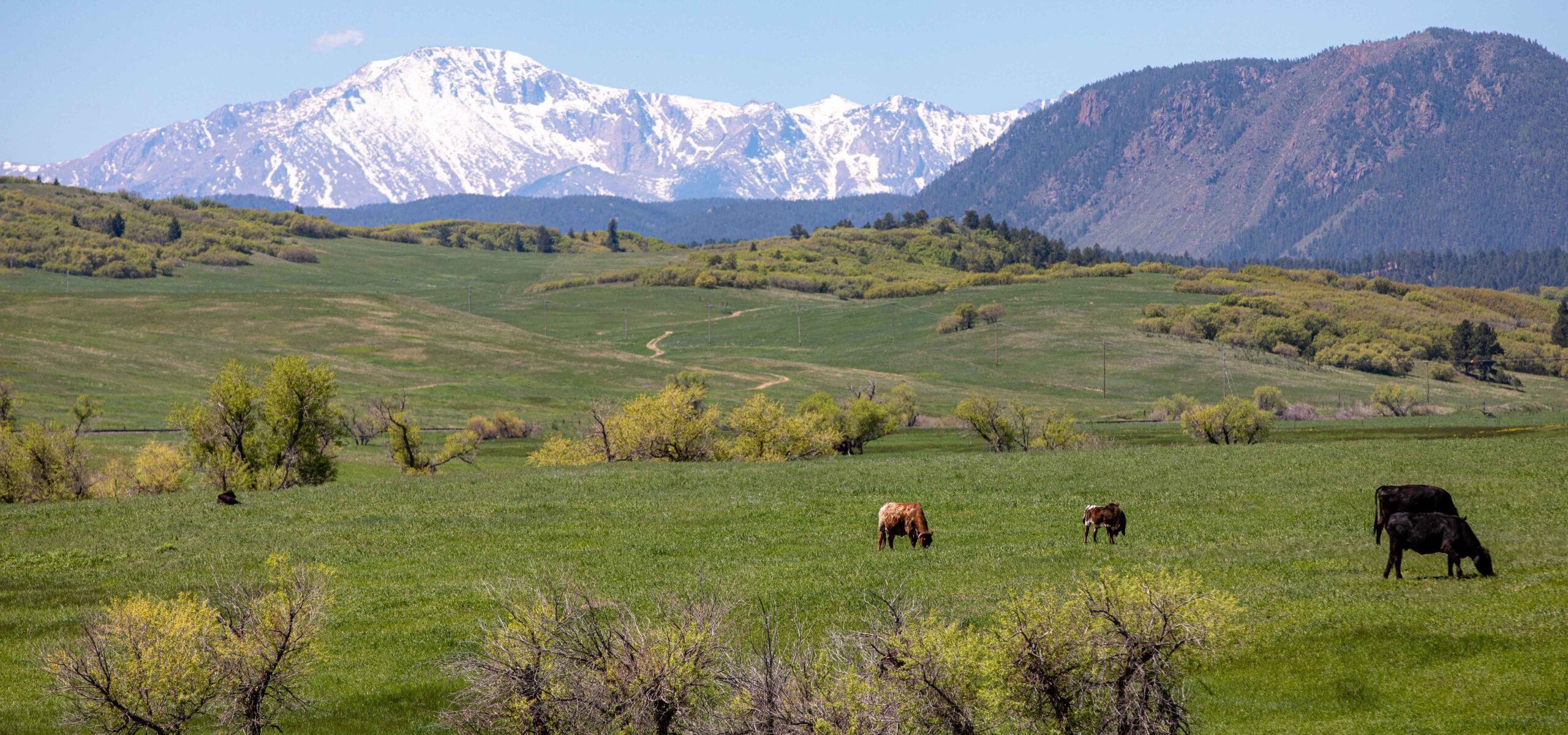 You can be an integral part of preserving and protecting our open ...