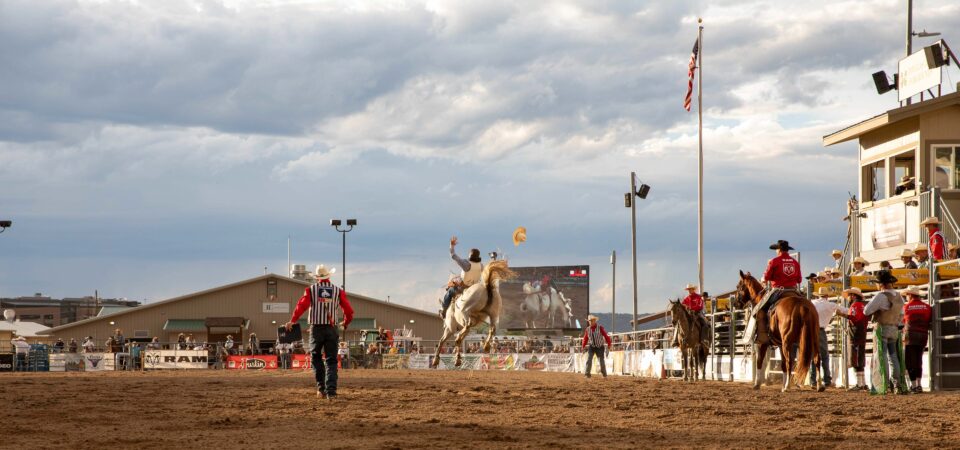 Fair and Rodeo Archives - Douglas County