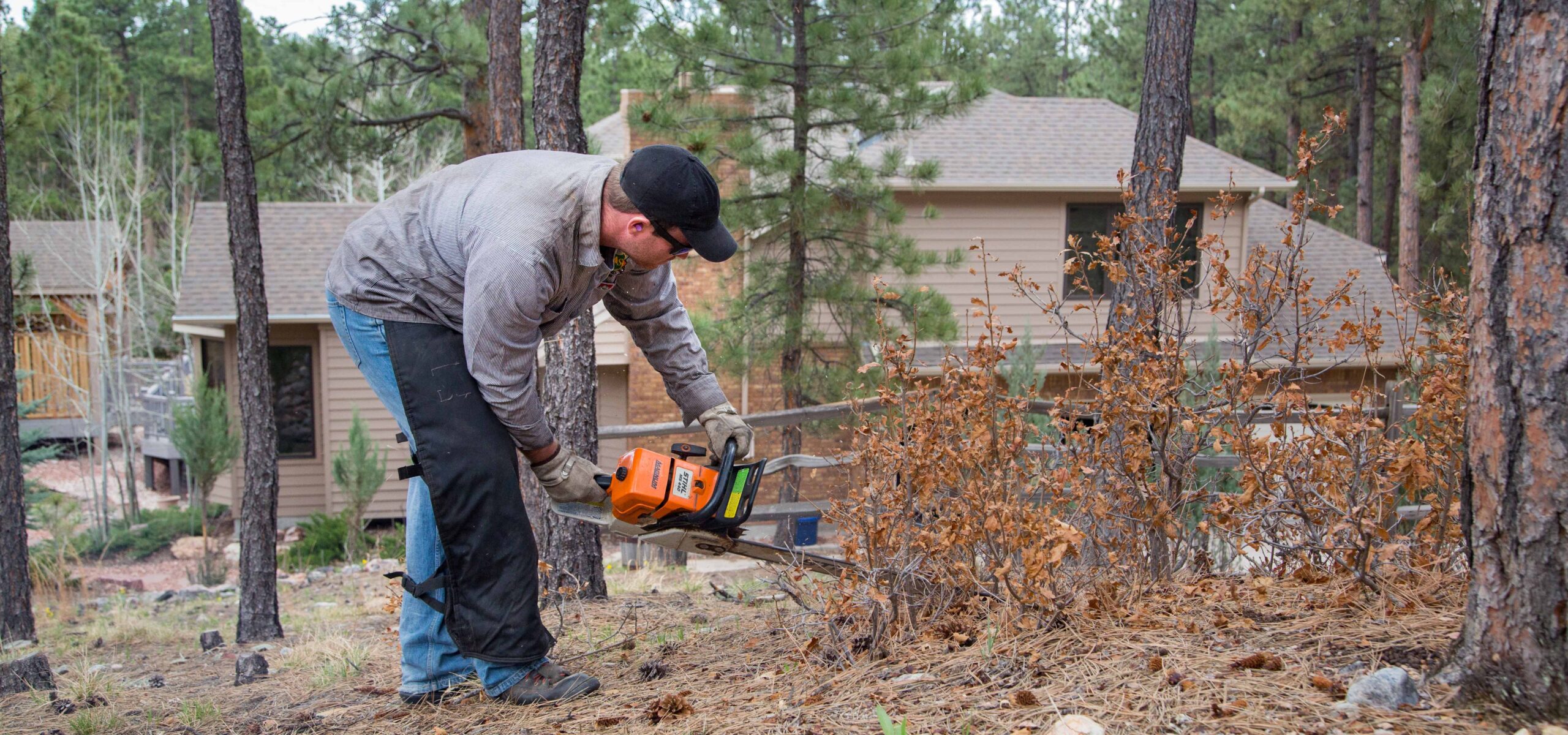 Have you mitigated for wildfire? Let’s split the cost in 2024 - Douglas ...