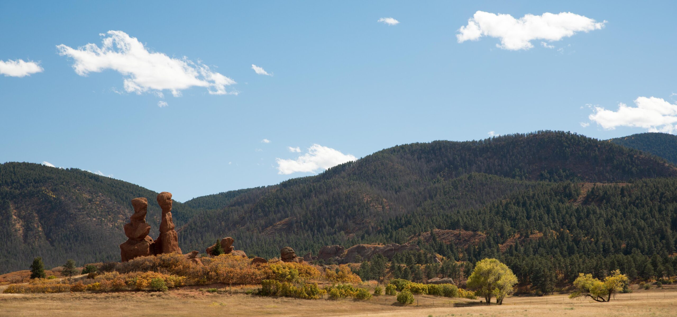 Your County is working with others to reduce wildfire hazards in public ...