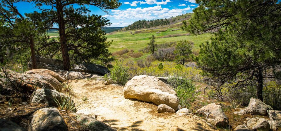 Be Proactive: Community Wildfire Protection - Douglas County