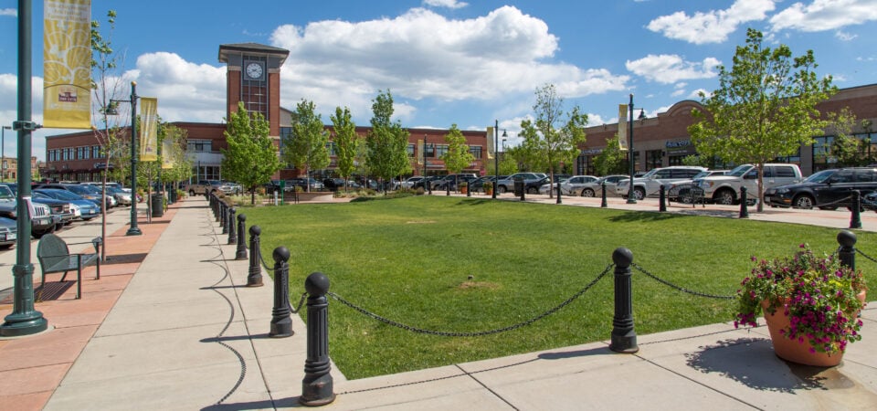 Link On Demand - Douglas County