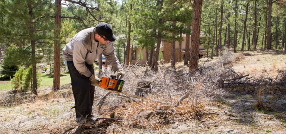 Wildfire Mitigation - Douglas County